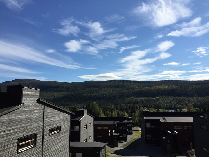 Nybyggt, Ski-in-ski-out I Populära Tegefjäll! - Åre