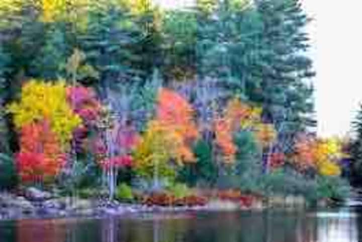 Rosemead Close Apartment - Bracebridge