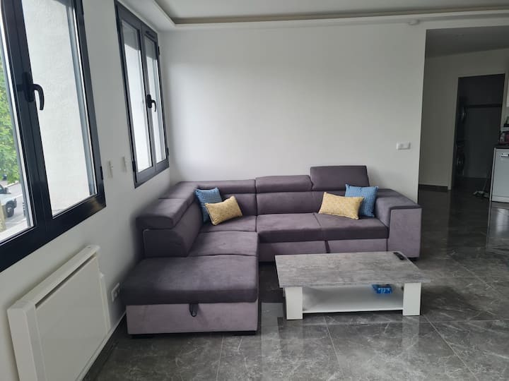 Appartement Spacieux Et Lumineux - Montreuil