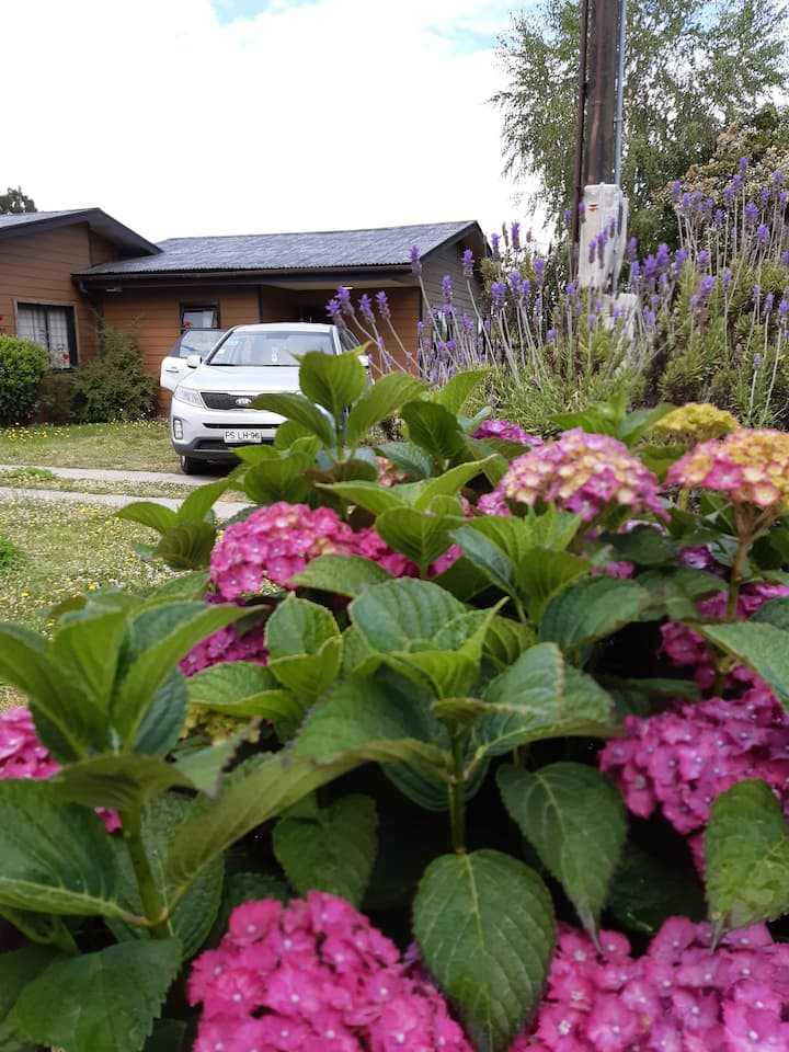 Cabaña 1 Los Pelúes  Isla Teja Valdivia - Valdivia