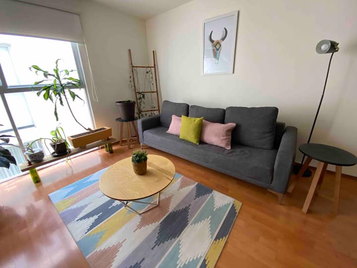 The Most Comfortable Flat | Location | Gym - Mexico City