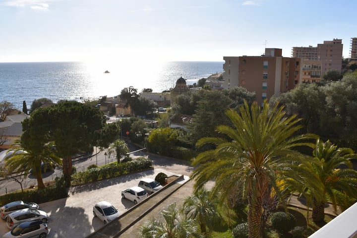 Ajaccio Superbe Studio Sanguinaires Vue Mer - Ajaccio