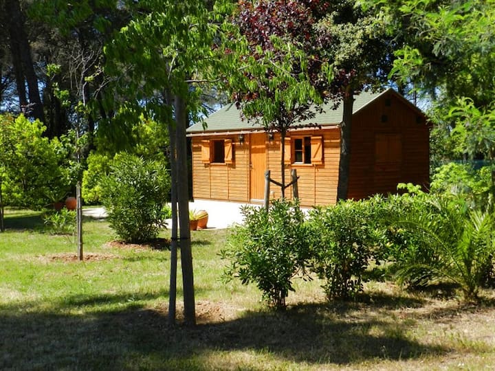 Petit Chalet 21 M² – 2/3 Couchages - Bandol