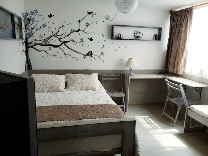 Estudio Vintage De La Mente Libre - Mexico City