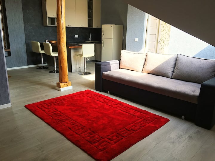 Атмосферная квартира-студия в Самом Центре! - Uzhhorod