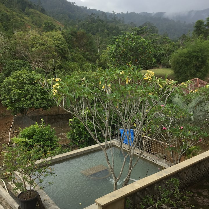 Villa Air Dingin Oma Kim - Padang
