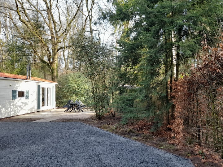 Bos Lodge Epe Op Grote Kavel Met Veel Privacy - Epe