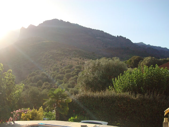 Location Estivale Juillet Aout - Corte