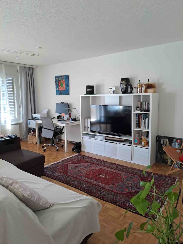 Camera Letto Arredata In Appartamento Condiviso - Zürich