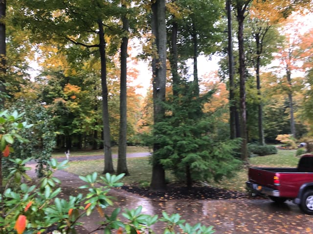 8 Best Things To Do In Orchard Park, New York | Trip101