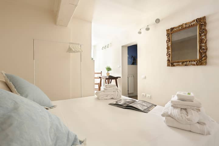 Alex’s House Signoria - Florence