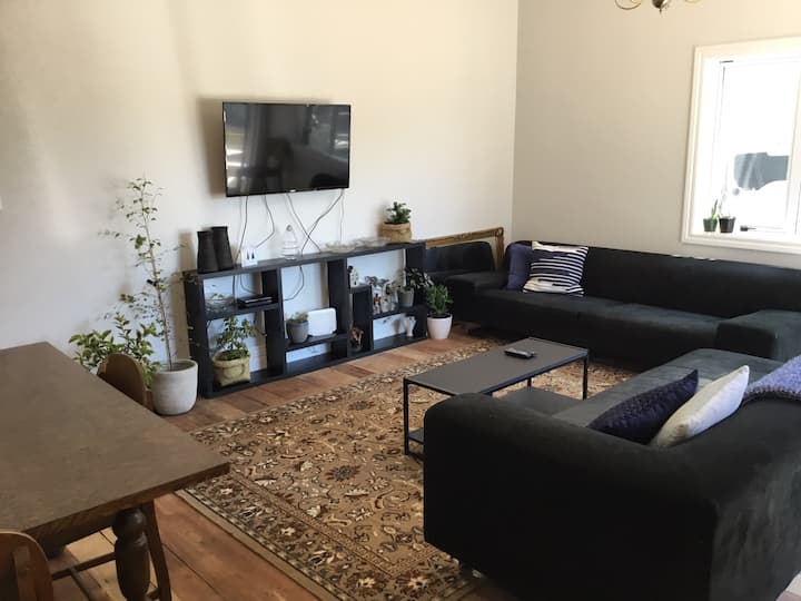 Spacious Central Napier 2 Bed 2 Bath Apartment - Napier