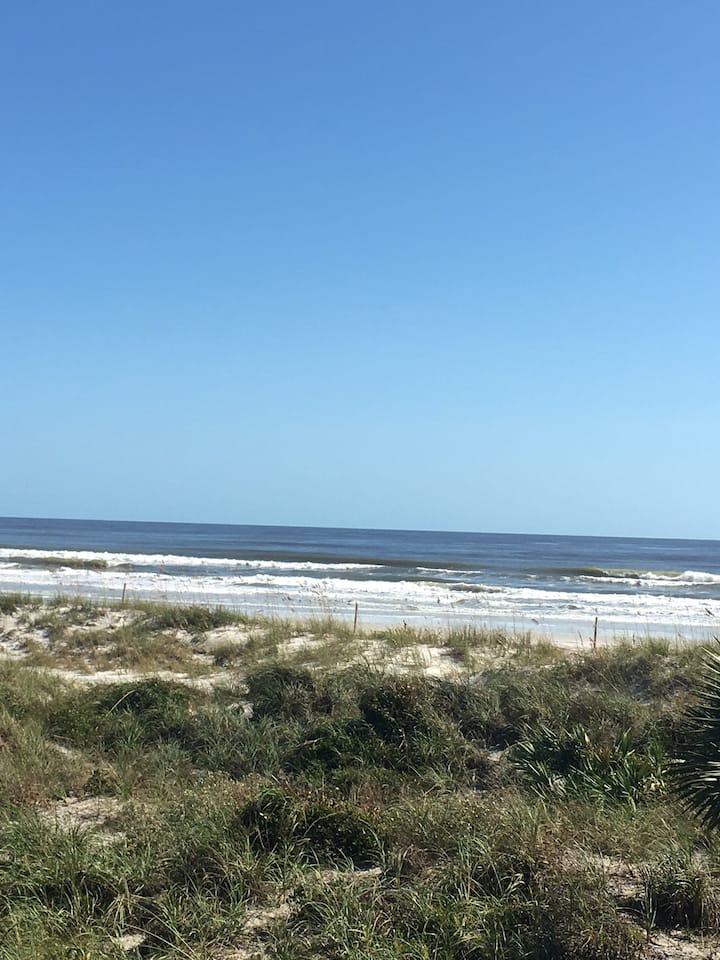 Ocean Front Retro Cottage - Ponce Inlet, FL