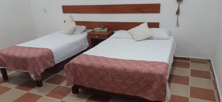 "6" "Tiburón Martillo" Squalo's Place. - Holbox