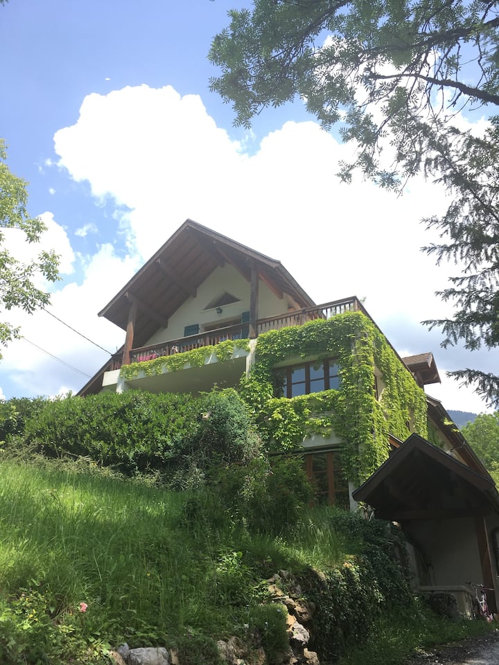 Appartement Avec Jardin, Proche Du Lac - Talloires-Montmin