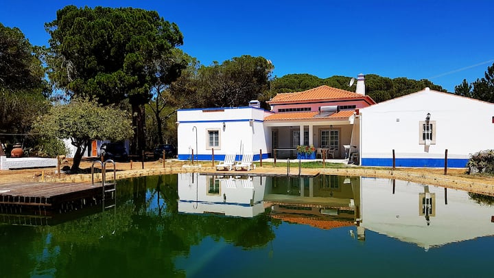 Stone Pines Farm - Santiago do Cacém