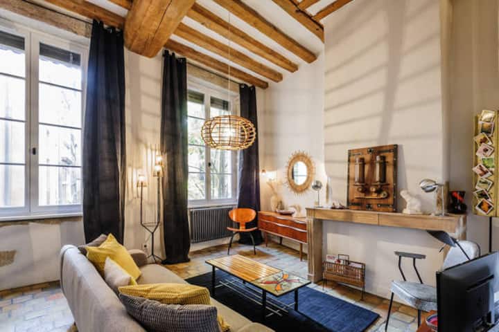 "The Vintage Flat"- Old Town Lyon - Lyon