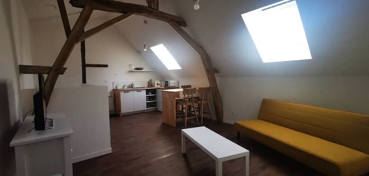 Loft Neuf Et Indépendant 2 Pers / Centre Ville - Le Mans