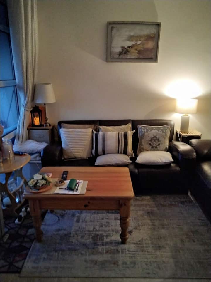 Riverside Apartment To Let Out. - Ennis
