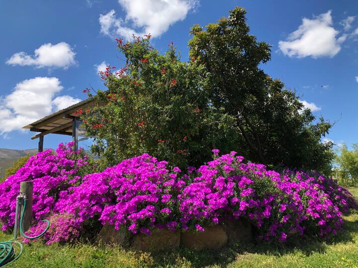 Witzenberg Base Camp, To Rejuvenate Mind And Soul - Tulbagh