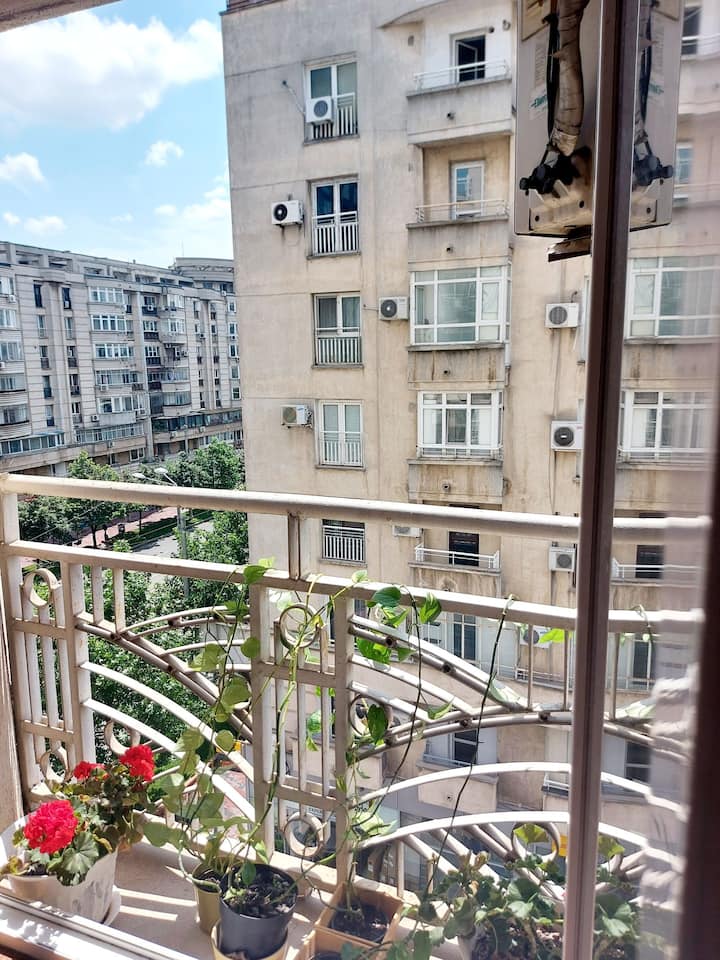 Center Apartment For 6 - Romania