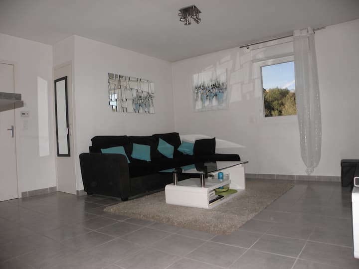 Appart T2 De 50m2 Tout Confort En Centre Ville. - Corsica