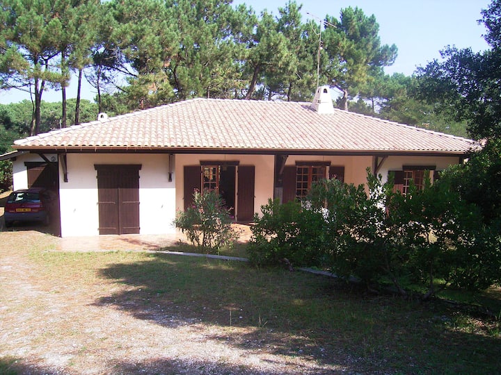 Villa Capferret Sous Les Pins,bassin&océan à Pied - Pyla sur Mer