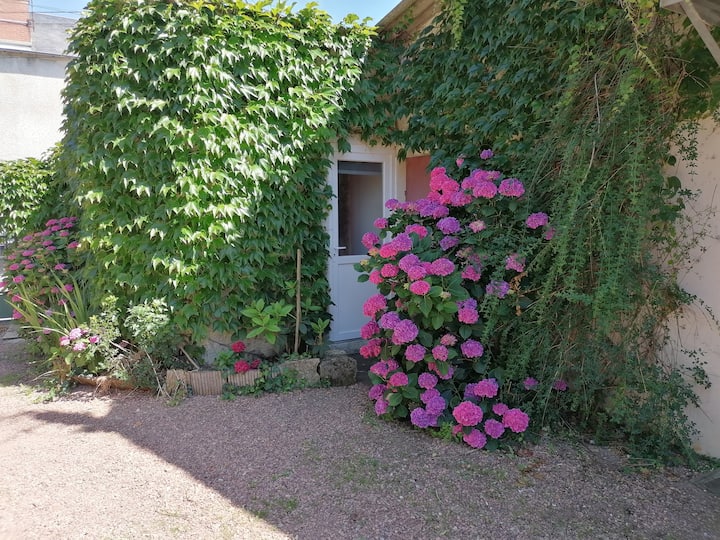 Chez Rolando Petit Studio Cosy - Nevers