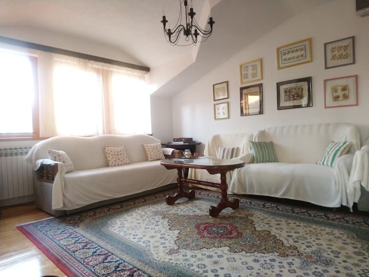 Amra Big Apartment - Sarajevo
