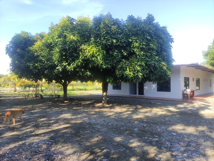 Hotel Campestre - Granada