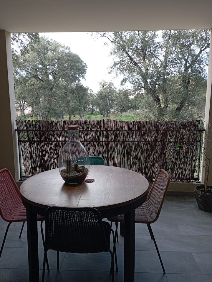 Charmant Appartement Calme - Borgo