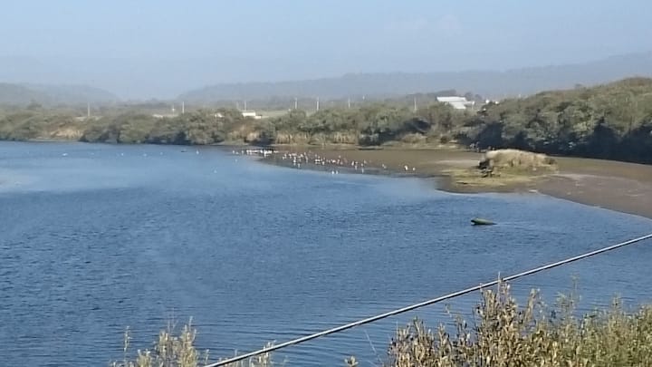Mad River Beach - McKinleyville, CA