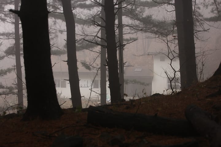 숲속의 오두막.....음악과Coffee,황홀한 고립 #1 /Cabin In The Wood - 호평동