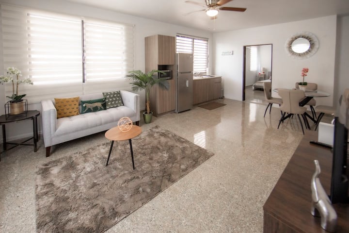 Spacious Apartment In The Heart Of Condado - San Juan