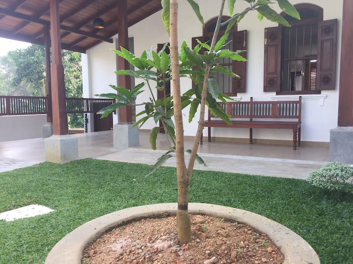 Nature’s Lodge-galle - Sri Lanka
