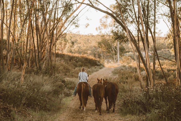 San Diego Trail Guest Ranch - Poway, CA