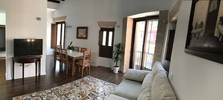 Amplio Y Nuevo Apartamento En El Centro De Sevilla - Sevilla