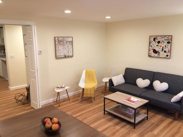 2bd Apt In Cambridge (Short Term Rental Available) - Newton, MA