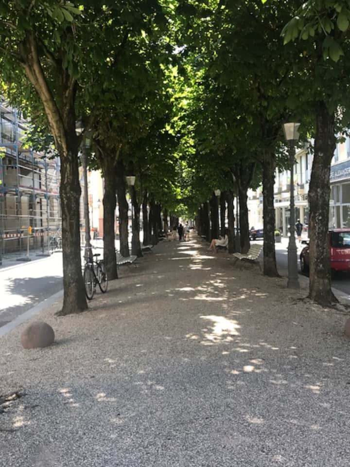 Wohlfühloase Im Zentrum Von Baden Baden - Baden-Baden