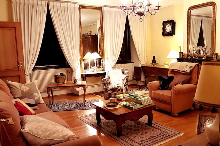 Luxe Et Charme :  à L'ombre De La Cathédrale 110m2 - Strasbourg