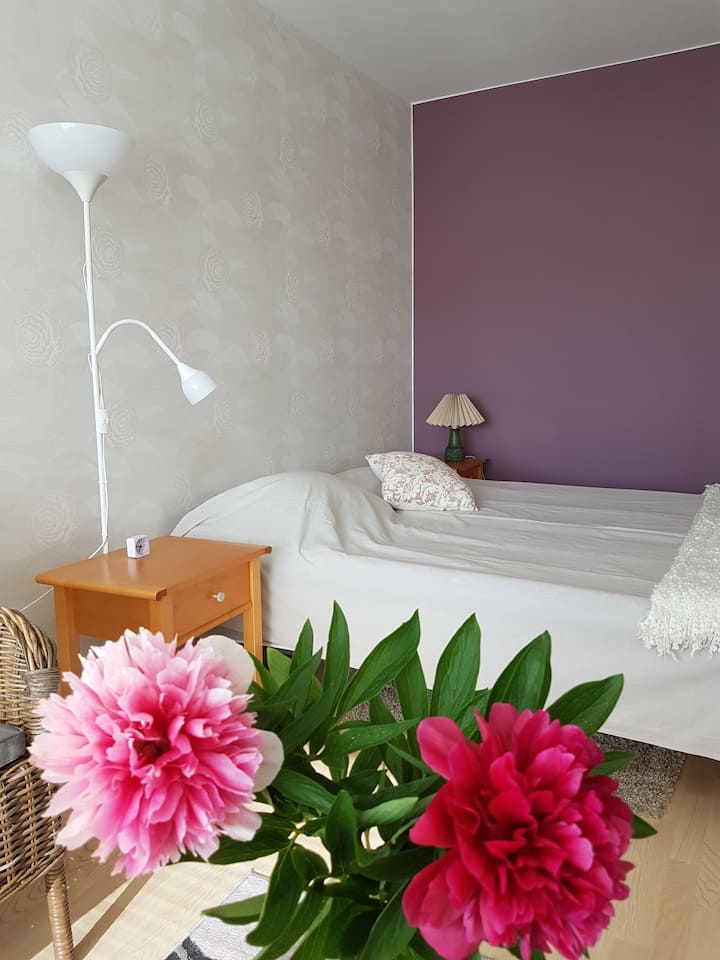 Cityappartament With Balkony - Pori