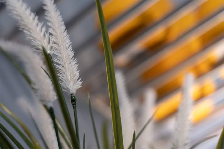 Modern & Serene Apt In Central Bridgewater, Ns - Bridgewater