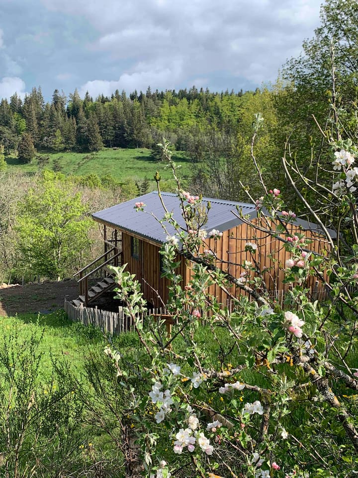 Le Chalet D'elsa: Insolite Sur Pilotis - Saint-Nectaire