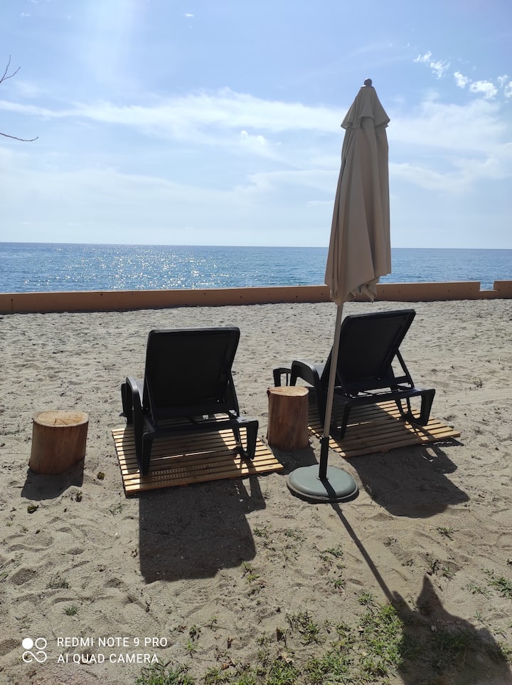 (28) Appartement Bord De Mer - Corsica