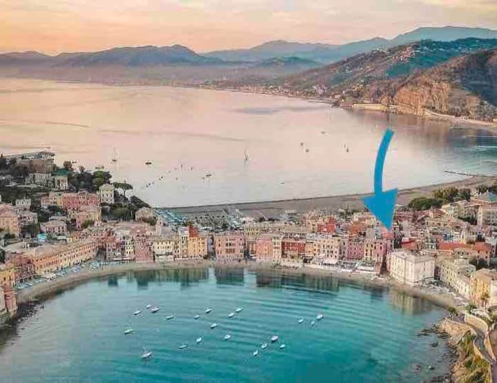 One Minute From Silent Bay🐠🐟 - Lavagna