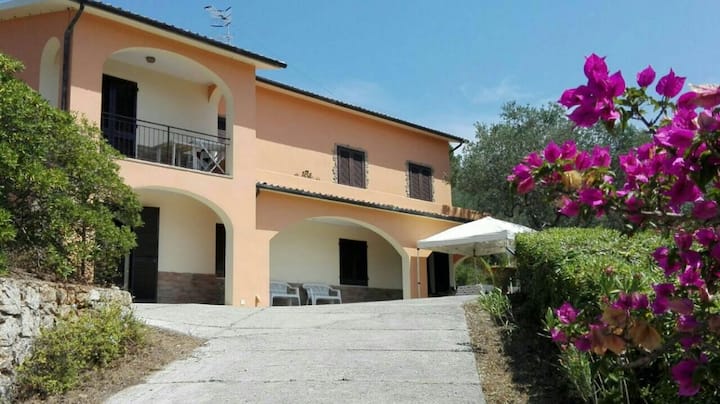 Isola D'elba Portion Of Villa With Garden See View - Elba