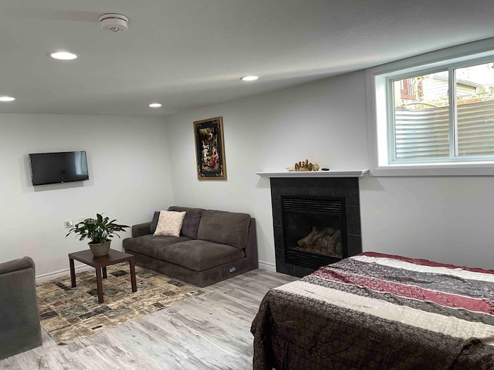 Stunning/modern Basement  (Separate Entrance) - London, ON, Canada