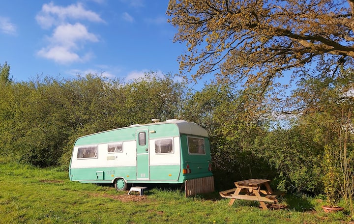 Minty Wagon, Vintage Caravan With Amazing Views - Shropshire