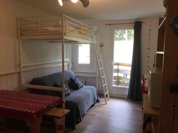 Joli Studio Au Pied Des Pistes Près De L' Esf - Allemont