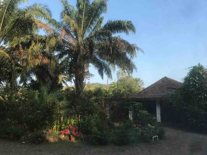 The Estate Bungalow - 2 Rooms - Pathanamthitta